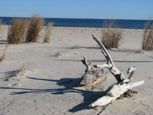 Top Ten Things to do in Mathews this Year - Mathews County Visitor Center